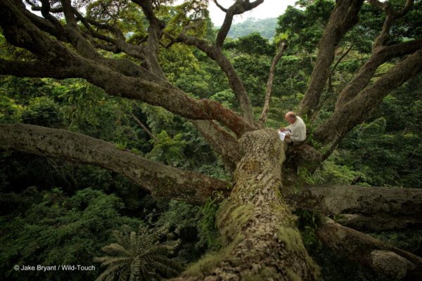 MOABI : l'application des arbres remarquables ® | Remarkable trees app ...